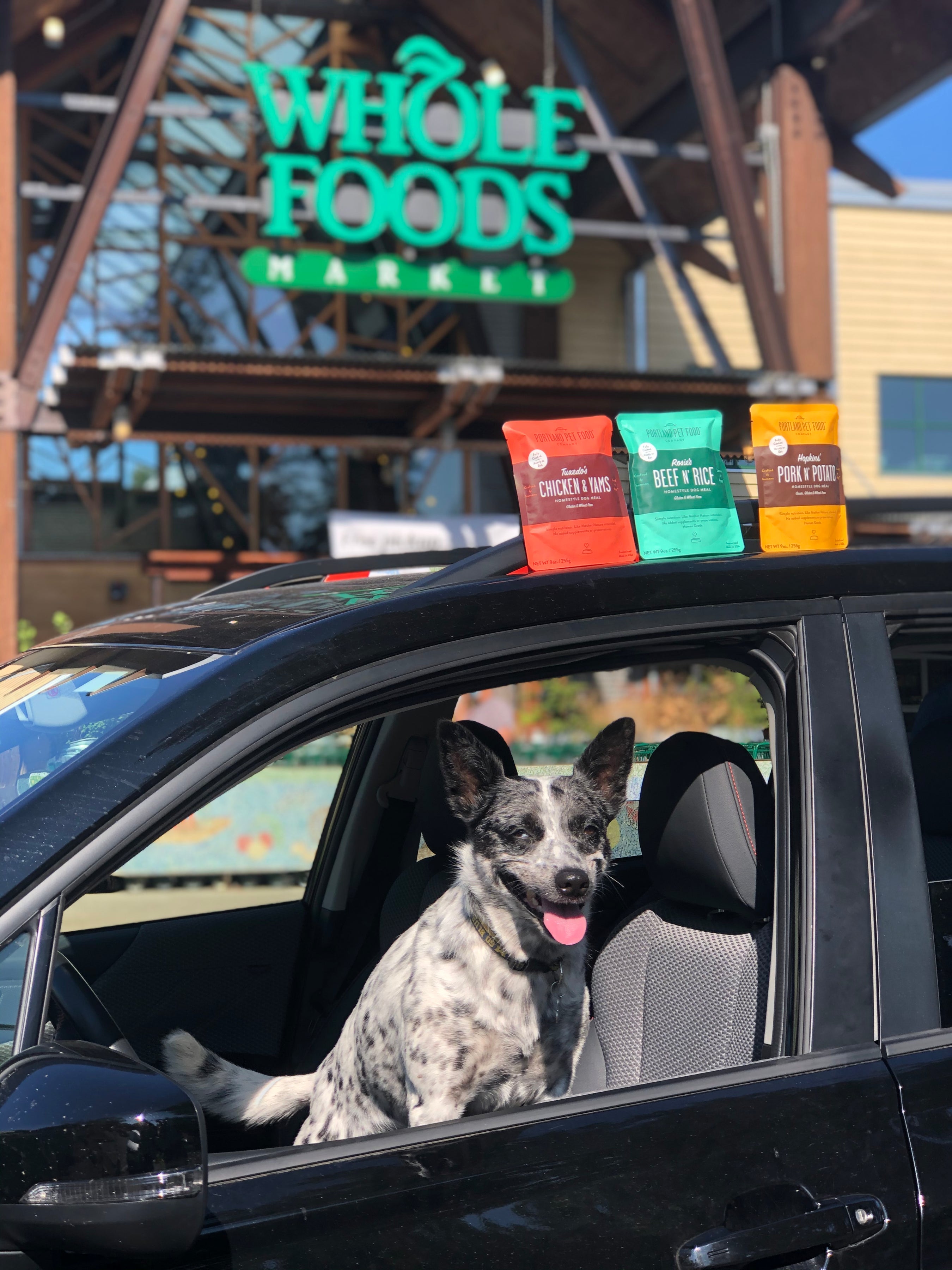 About Portland Pet Food Company | Cat, Dog Food Topper