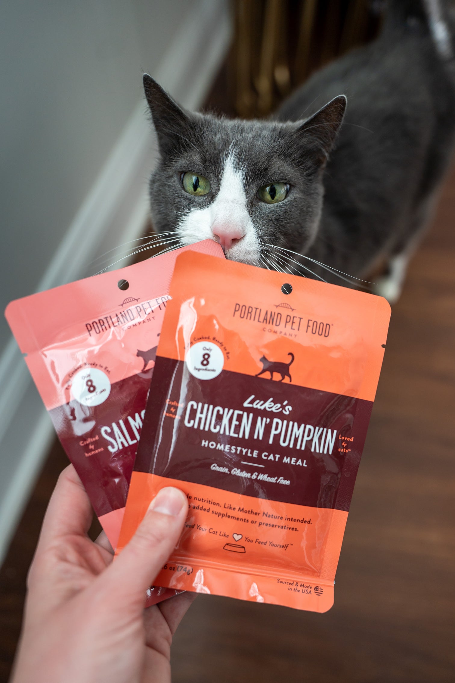 3 Reasons to Try Our Cat Meals – Portland Pet Food Company