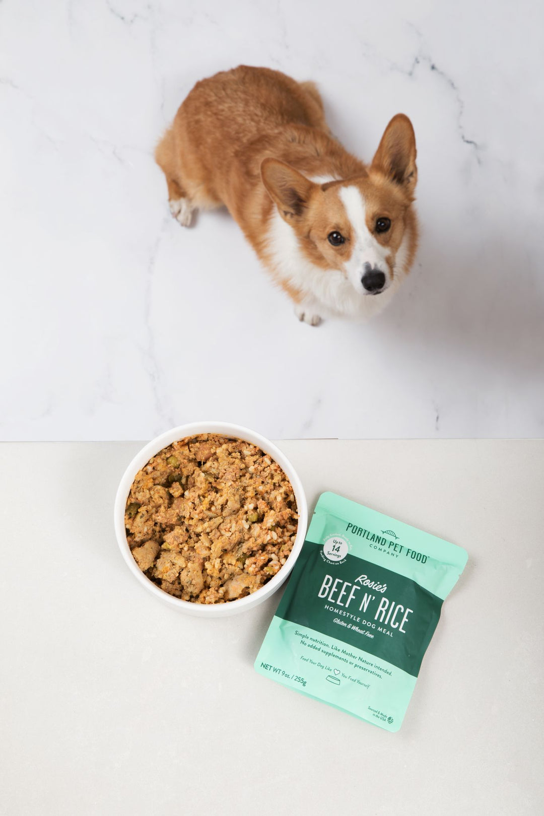 3 Reasons To Try Portland Pet Food for Your Picky Dog – Portland Pet ...